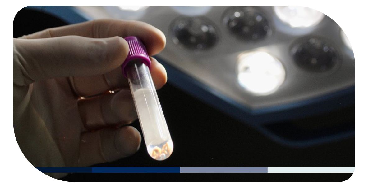 Dr. Rigoberto Rodriguez - Reumatólogo